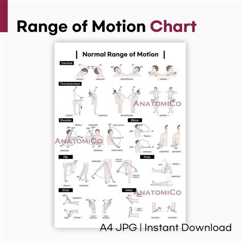 Range Of Motion Chart A4  Printable Rom Reference Poster For Therapy Exercise And Anatomy