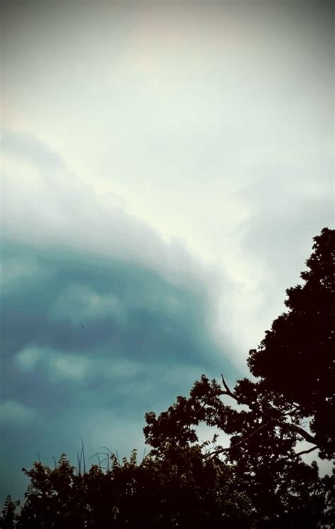 Music Mouses🦢🦢 Tumblr Communities