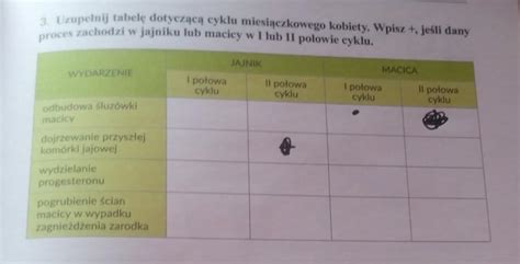 Pomocy Daje Naj I 5 Gwiazdek Brainly Pl