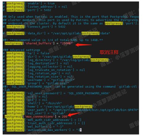 Gitlab 安装的社区版 Gitlab ce解决访问网页报 Whoops GitLab is taking too much time to respond的问题 阿里云开发者社区