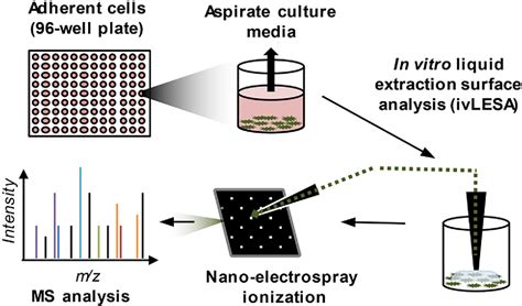 Figure 1 From In Vitro Liquid Extraction Surface Analysis Mass