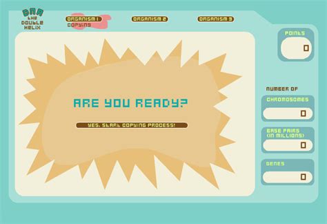 DNA And Protein Synthesis Mr Smit Life Sciences For SHS