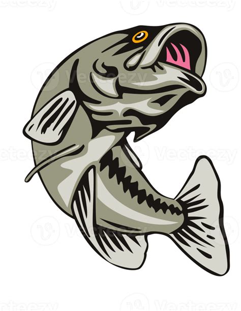 Largemouth Bass Jumping Png