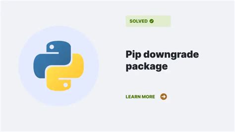 How To Execute Pip Downgrade Package Python Clear