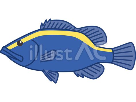 ルリハタイラスト No 1469837無料イラストフリー素材ならイラストAC