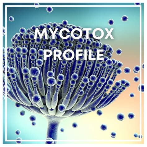 Reveal Hidden Mold Exposure With The Mycotox Profile