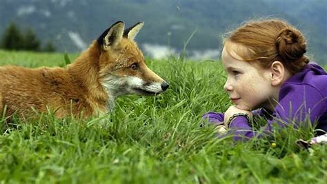 Sil Te Plaît Dessine Moi Un Renard Ladepechefr