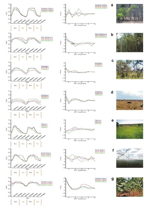 Temporal Signatures From The Modis Ndvi Time Series And The Mnf Signal Download Scientific
