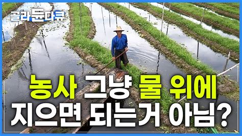비료도 농수로도 필요없는 수상 부족의 신기한 수경재배 기술ㅣ물 위에서 자급자족 소수민족이 농사 짓는 법ㅣ미얀마 인레호수의 인따족