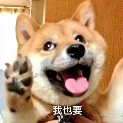 家庭男性理疗专家 on Twitter 久违的家庭聚餐 https t co OZd FDNap Twitter