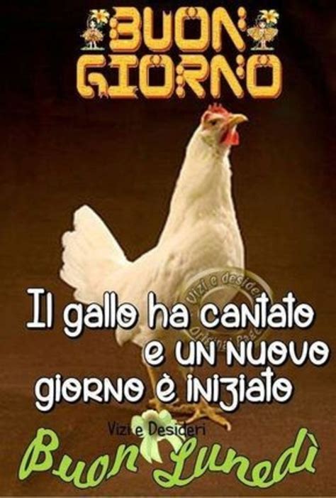 Belle immagini di buon lunedì BuongiornoATe it
