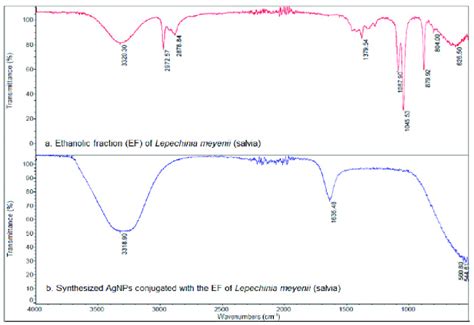 Ft Ir Spectra Of The A Ethanolic Fraction Ef And The B Download Scientific Diagram