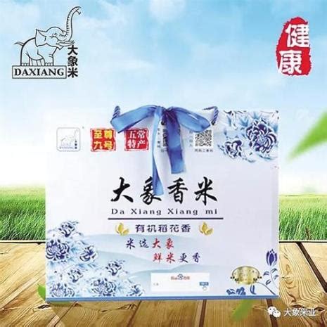 大象牙膏怎么做