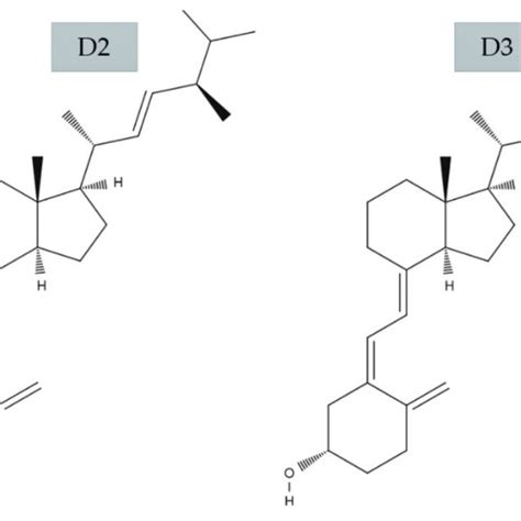 Vitamin D Binding Protein Vdbp And Human Diseases Download