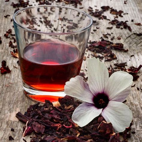 Hibiskustee Lecker Und Gesund Gesundheit Rezepte ZENIDEEN