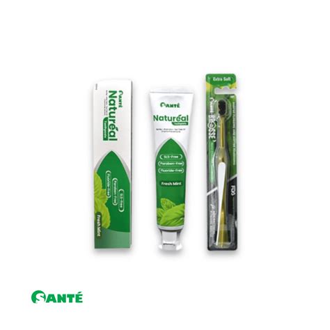 Twc Store Natureal Toothpaste 100ml With Brosse Toothbrush