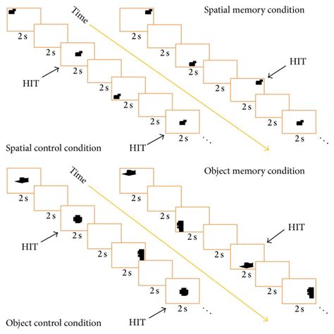 The Neural Correlates Of Spatial And Object Working Memory In Elderly
