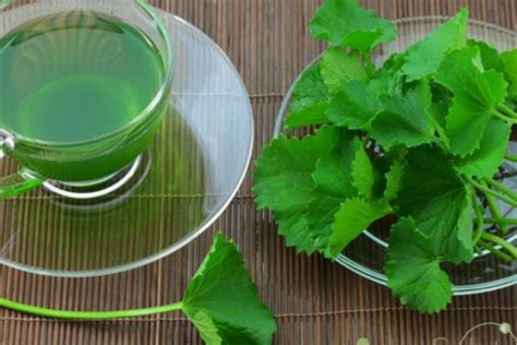 Bỏ túi ngay 8 cách trị thâm mụn nhanh nhất trong 1 đêm An Trần