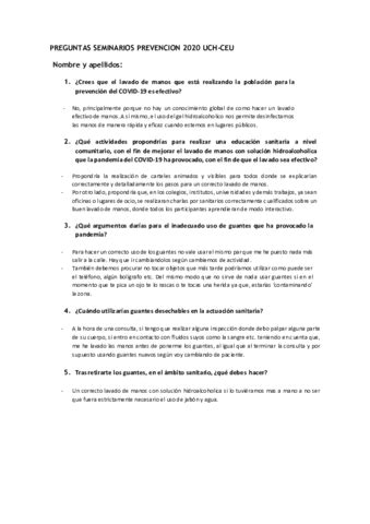 Preguntas Seminarios Pdf