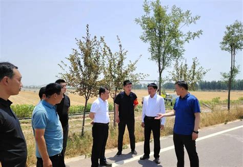 陈剑虹到韩董庄镇和桥北乡调研夏播抗旱情况农业中原农村