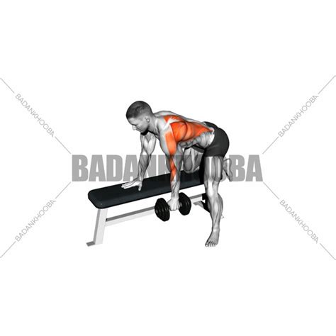 Portfolio Category آموزش حرکات زیر بغل