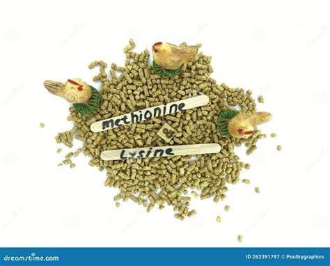 Effects Of Lysine And Methionine In A Low Crude Protein Diet On The Growth Performance In