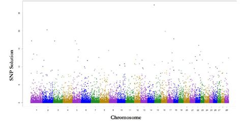 Manhattan Plot Of Single Nucleotide Polymorphism Snp Variance