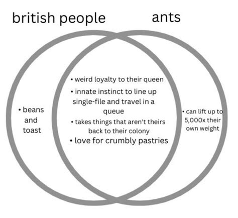 Antz R Okmatewanker