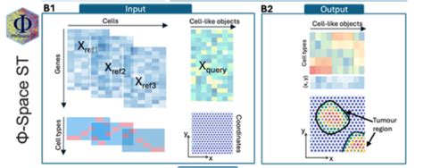Webinar Φ Space St A Platform Agnostic Method To Identify Cell States In Spatial