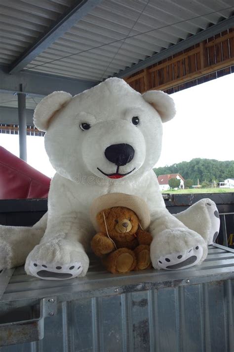 A Symbol Of A Bear Stock Image Image Of Furry Organism 261035857