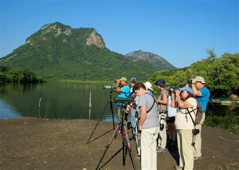 Hmana Tours Hawk Migration Association
