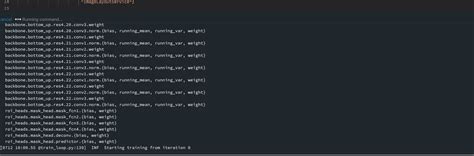 While Training The Training Process Is Struck At Iteration 0 Issue