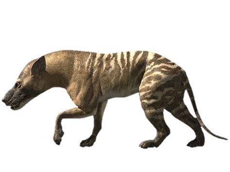 Hyaenodon Gigas Prehistoric Dinoworld Wiki Fandom