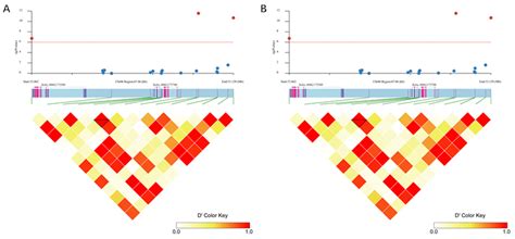 Association Analysis And Identification Of Candidate Genes For Sorghum