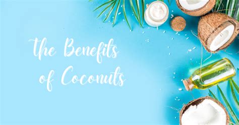 Coconut The Benefits Or Incorporating Coconuts Into Your Diet