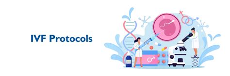 Know About Step By Step IVF Protocols Before IVF
