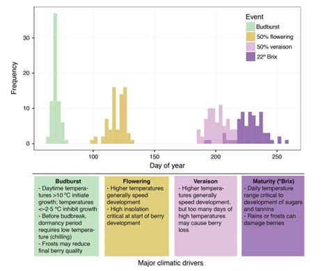 Wine Diversity For Climate Adaptation
