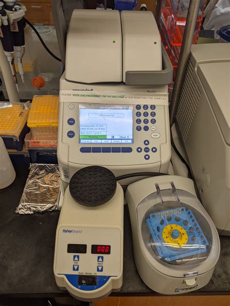 Image 3 Pinhead Institute