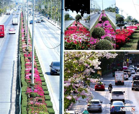 ถนนสวย 50 เขตกทม ตั้งเป้าในปี2568 พัฒนา62เส้นทางสะอาดเป็นมิตรทุกคน