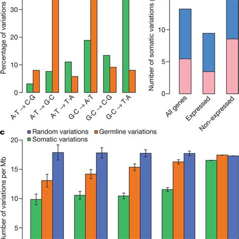 Somatic Single Nucleotide Mutation Trends And Patterns A Somatic