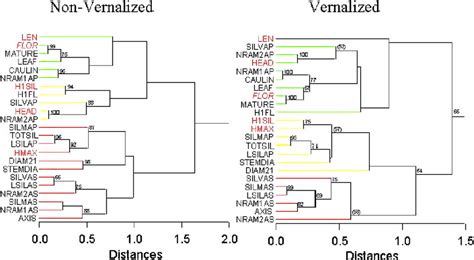 Cluster Trees Between The 23 Variables Trees Were Constructed Download Scientific Diagram