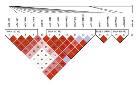 Chain Transfer Imbalance Map Of Single Nucleotide Polymorphism Of Download Scientific Diagram