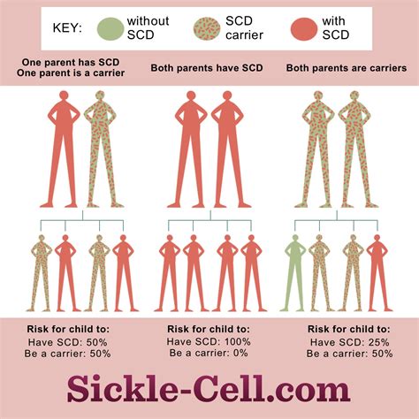 Sickle Cell Anemia Mutation