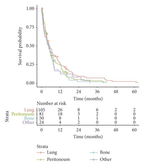 KaplanMeier Curves Of OS Stratified According To Metastatic Sites
