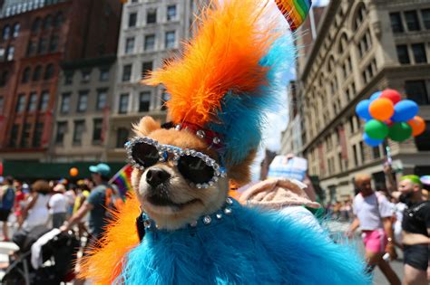 New York Celebrates Pride In Historic Birthplace Of March As Lgbt