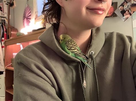 My Bird Has Become Obsessed With Cuddles