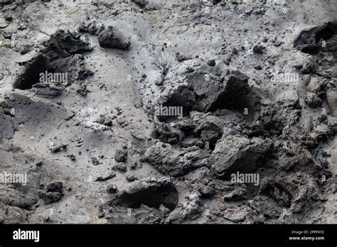 Mud Background Wet Sticky And Soft Earth Swampy Ground Texture Stock