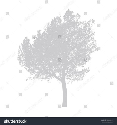 Olive Tree Black Silhouette Vector Illustration Stock Vector 460084165