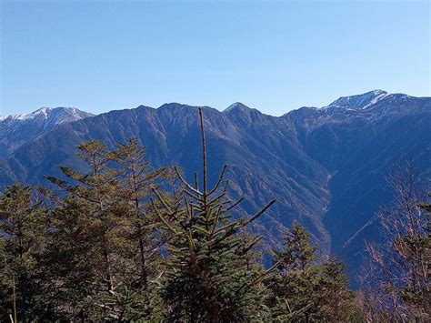 前尾高山・尾高山・奥尾高山 ルウミィさんのしらびそ高原の活動データ Yamap ヤマップ