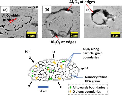First Report On Cold Sprayed Alcocrfeni High Entropy Alloy And Its